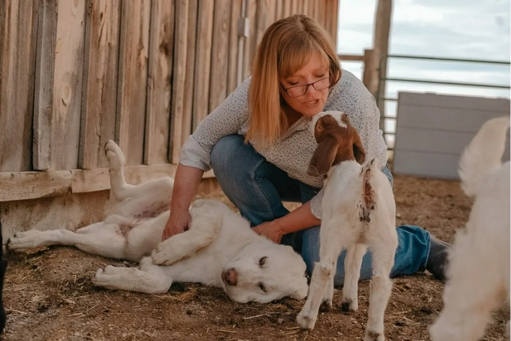 Cattle Ranch Steakhouse & Restaurant Buffalo, WY | TA RANCH