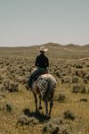 TA RANCH | Historic Wyoming Cattle Ranch