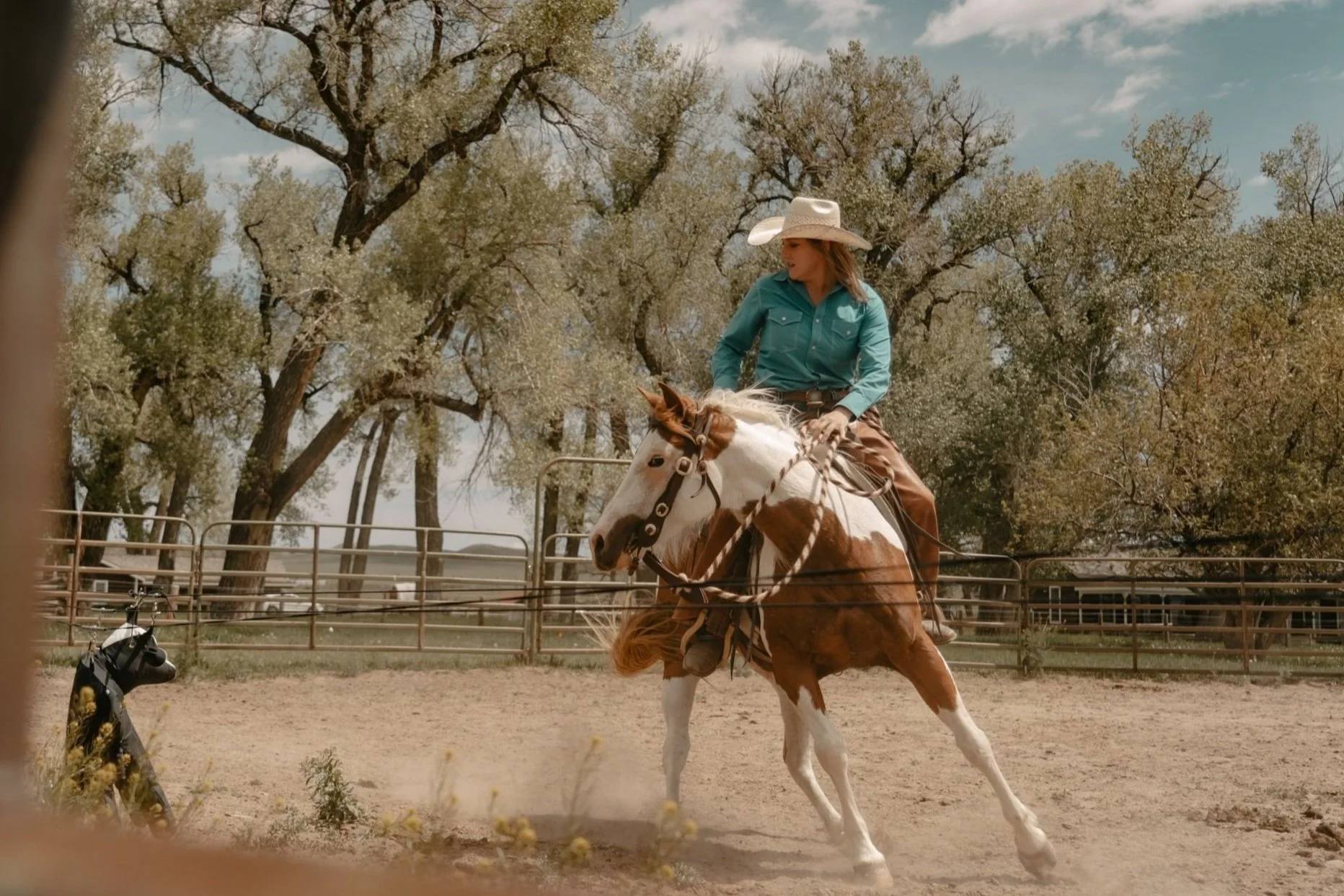 Horse Training | TA RANCH