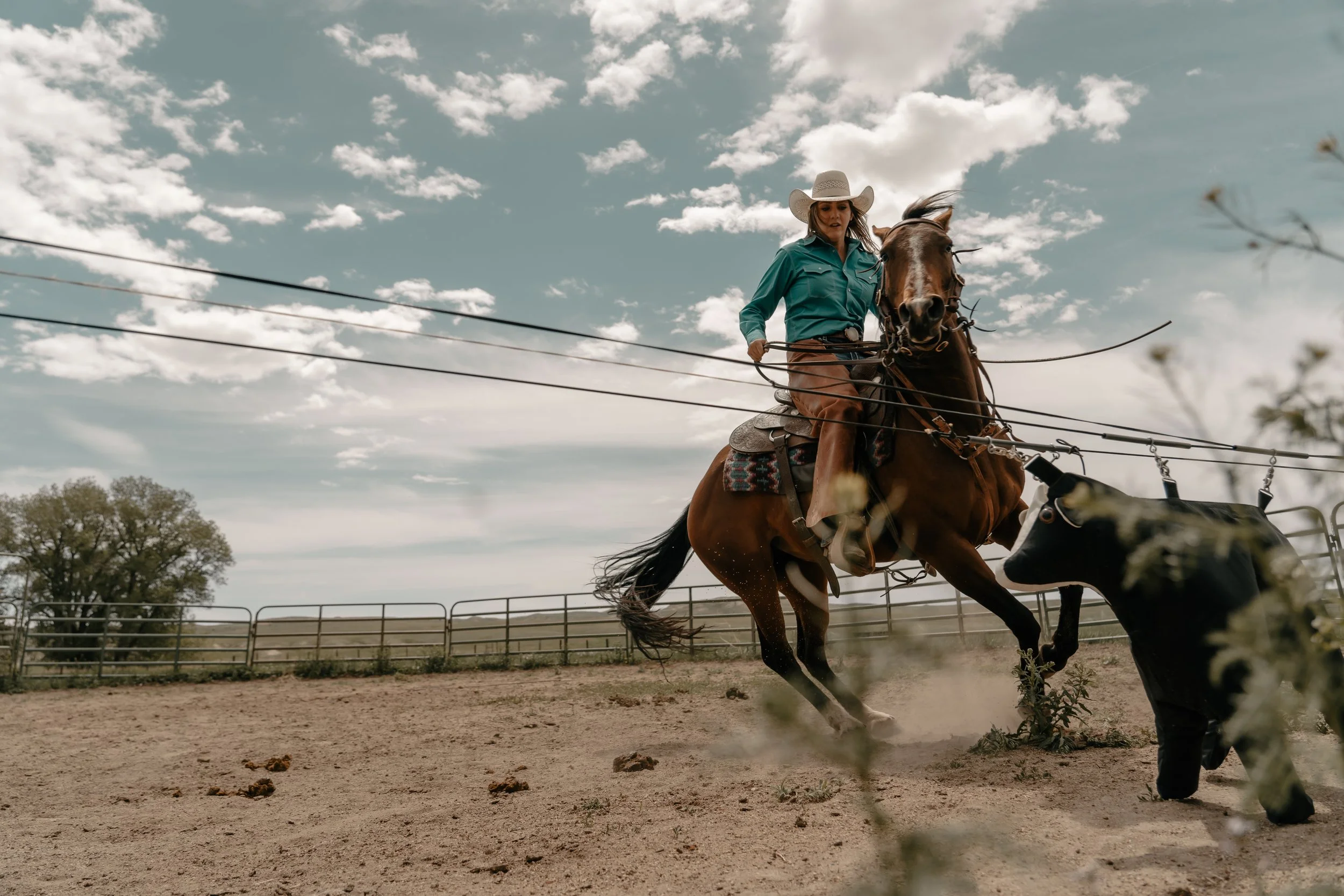 Wyoming Cattle & Guest Ranch Experience | TA Ranch