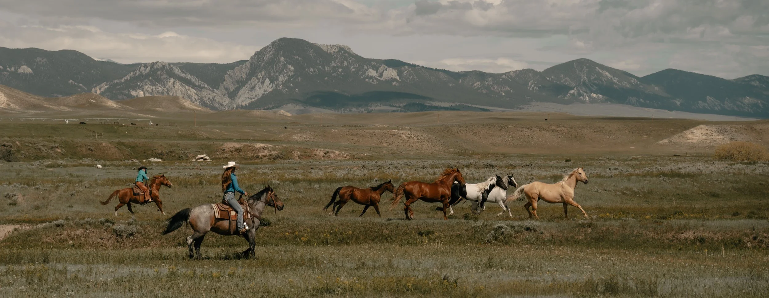 Wyoming Cattle & Guest Ranch Experience | TA Ranch