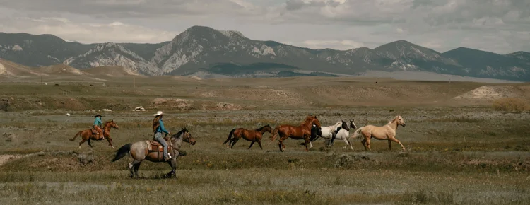 Wyoming Cattle & Guest Ranch Experience | TA Ranch