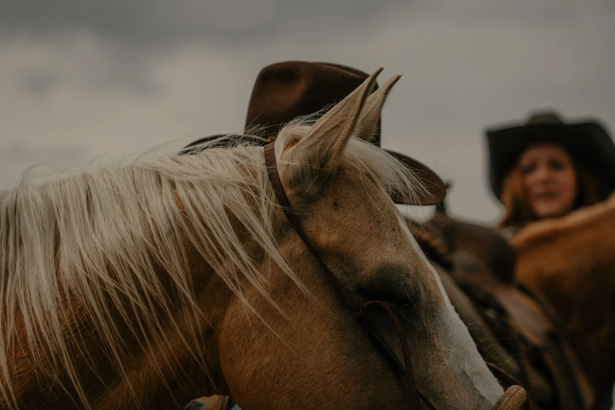 TA RANCH | Historic Wyoming Cattle Ranch