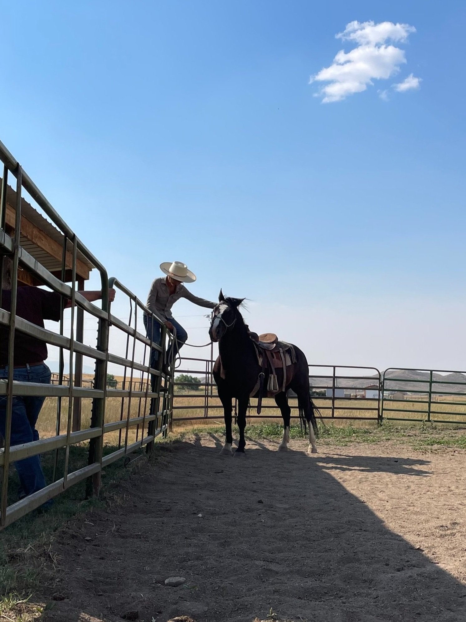 Horse Training | TA RANCH