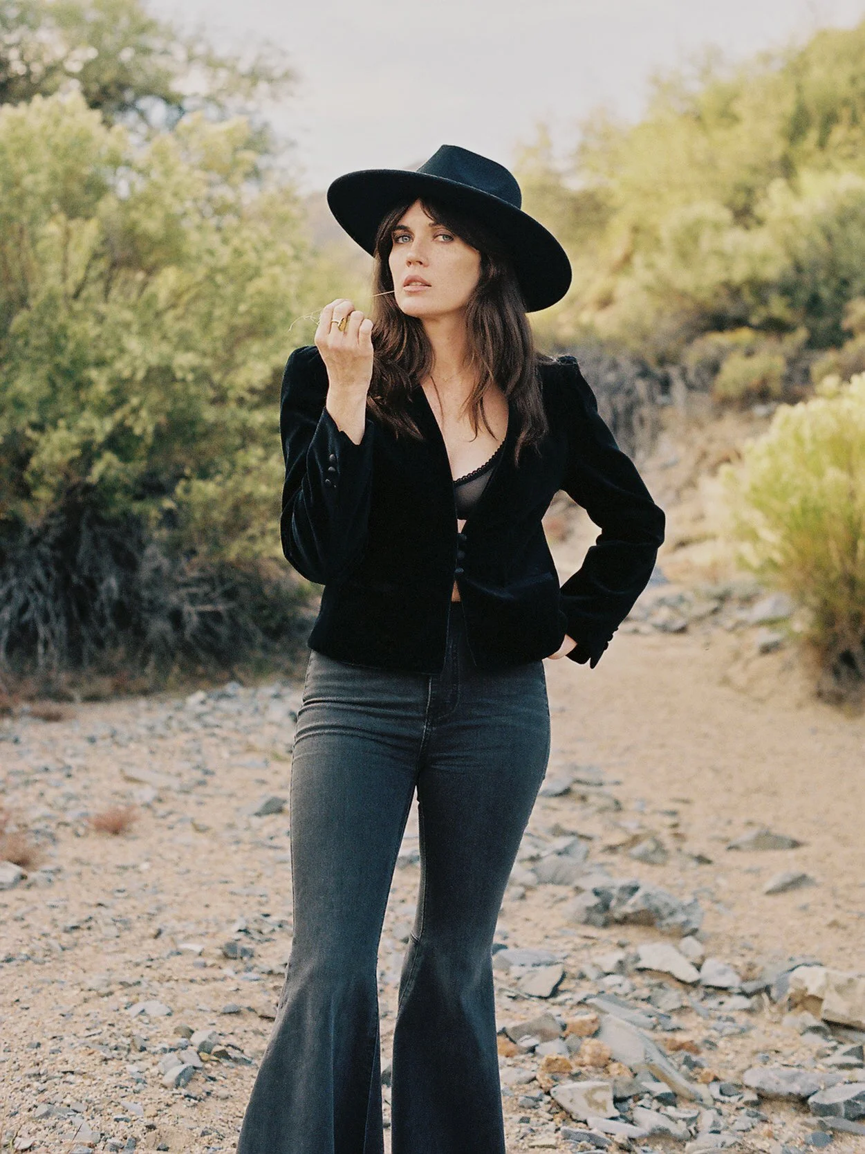 Alexandra James Design