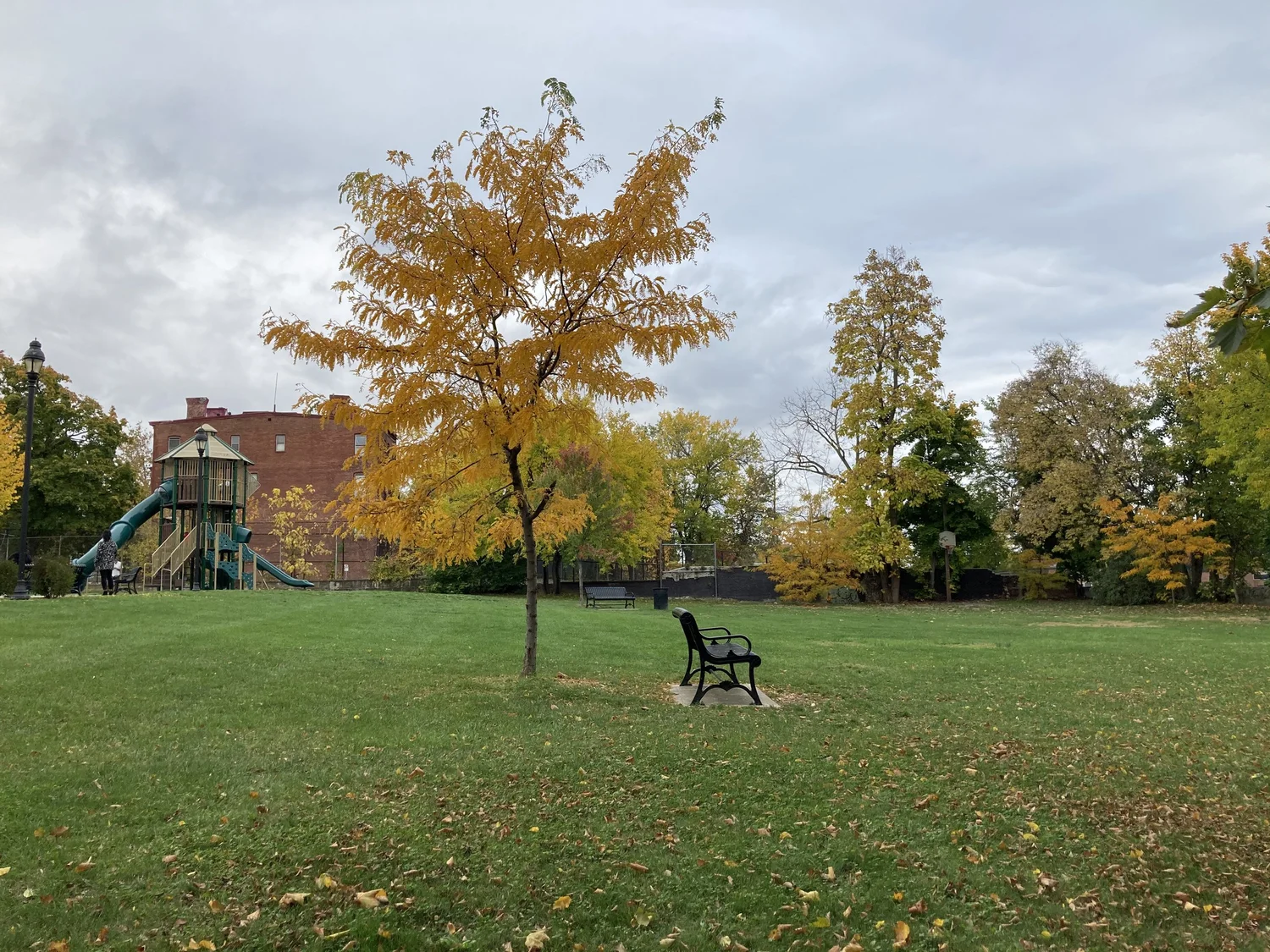 Gallery 3 — Newburgh Parks Conservancy