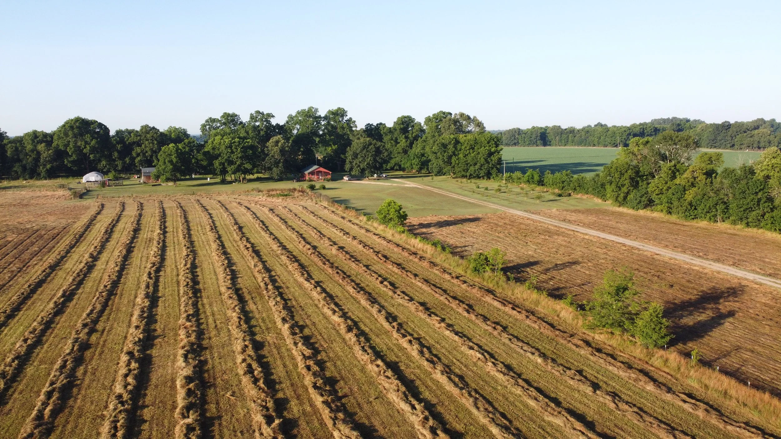 Cow Pen Bottom Farm | Chemical-Free Produce | Free-Range Eggs | Flowers ...