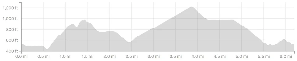 Quicksilver Trail Challenge — Quicksilver Running Club