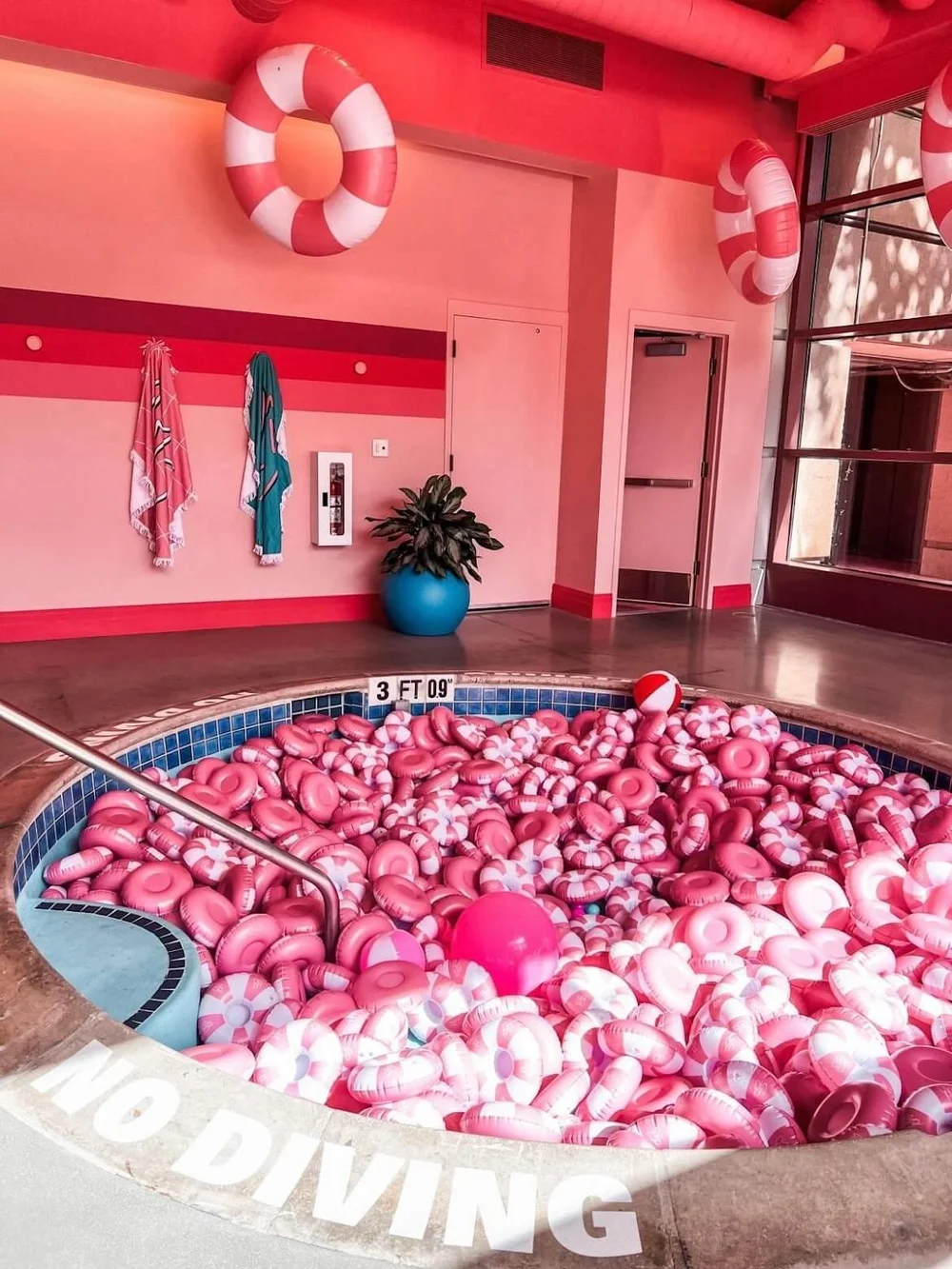 Swim Club Austin — Opulist