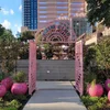 Swim Club Austin — Opulist