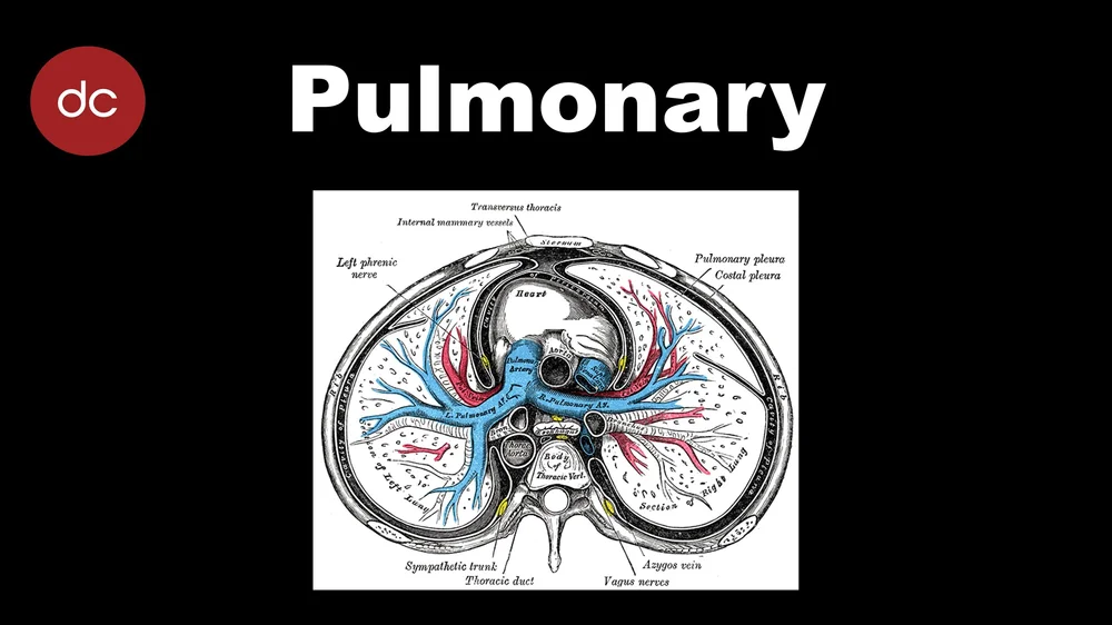 Davinci Cases Davinci Academy