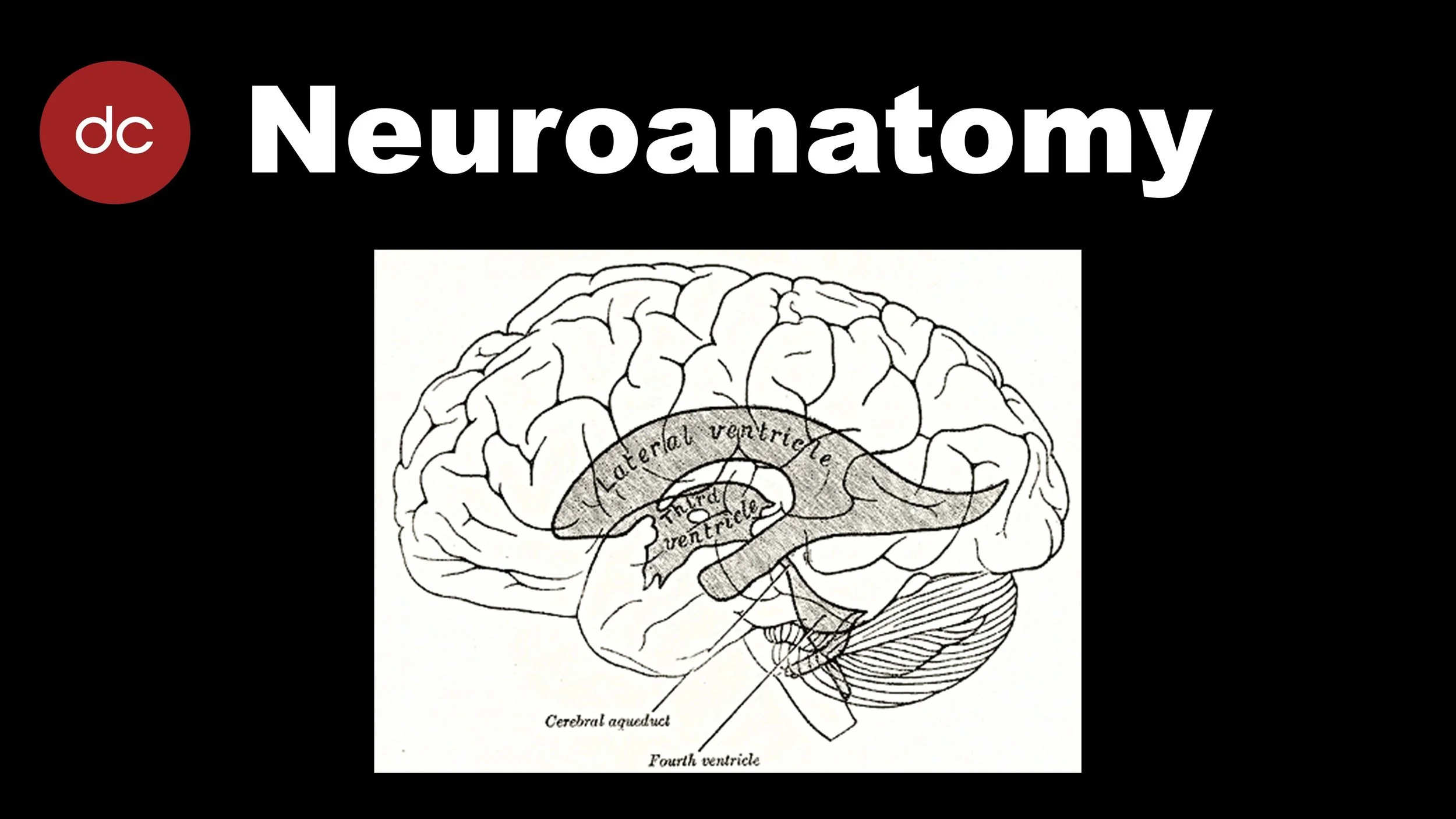 Davinci Cases Davinci Academy