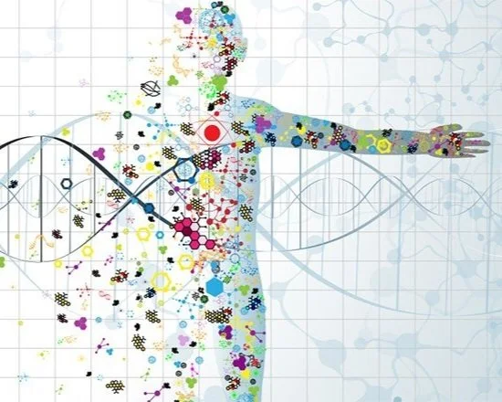 Learn About Our Team and Approach — Personalized Medicine