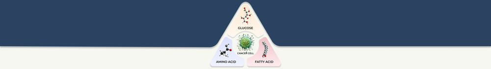 Starve Cancer - Metabolic Therapy — Personalized Medicine