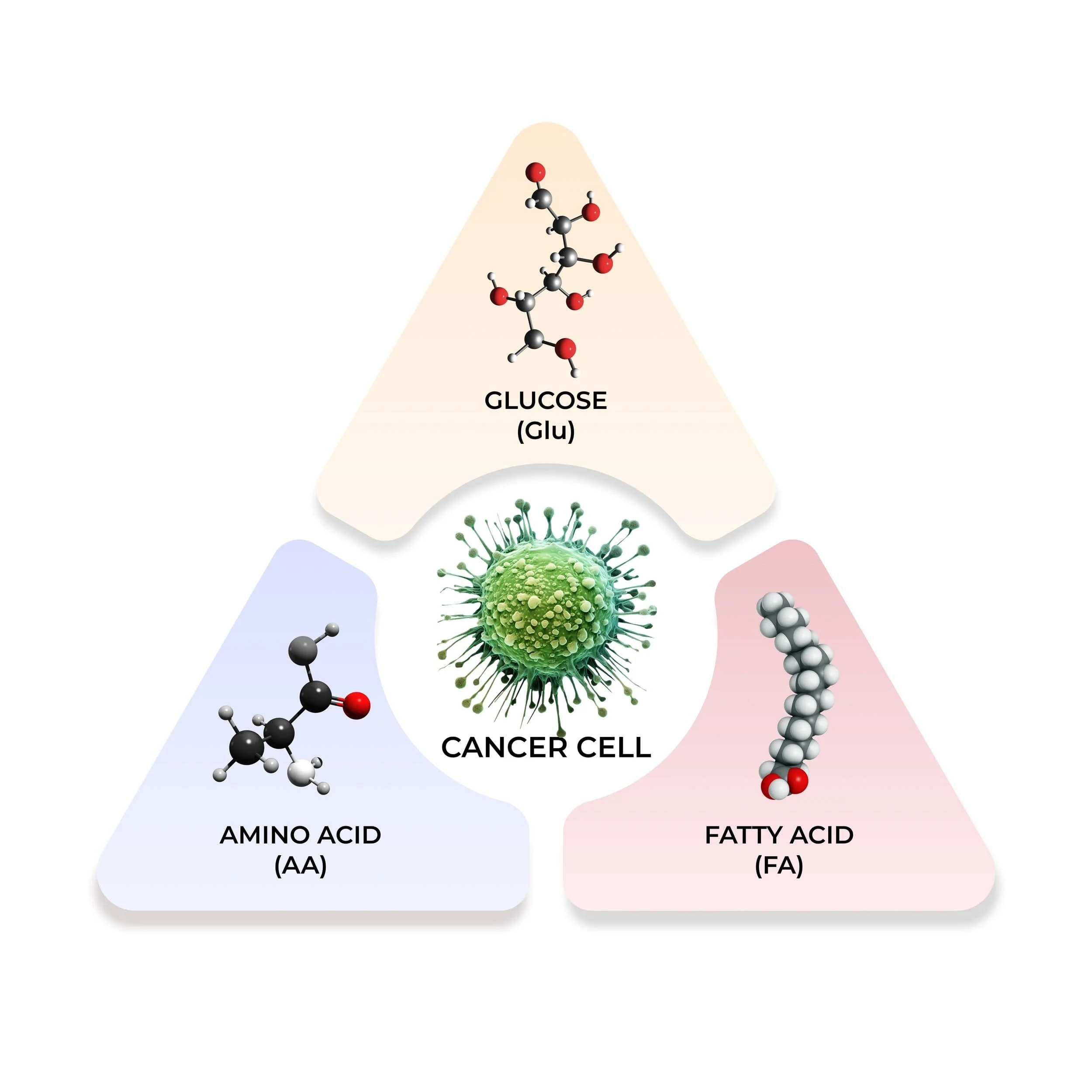 Starve Cancer: Metabolic Cancer Therapy — Personalized Medicine