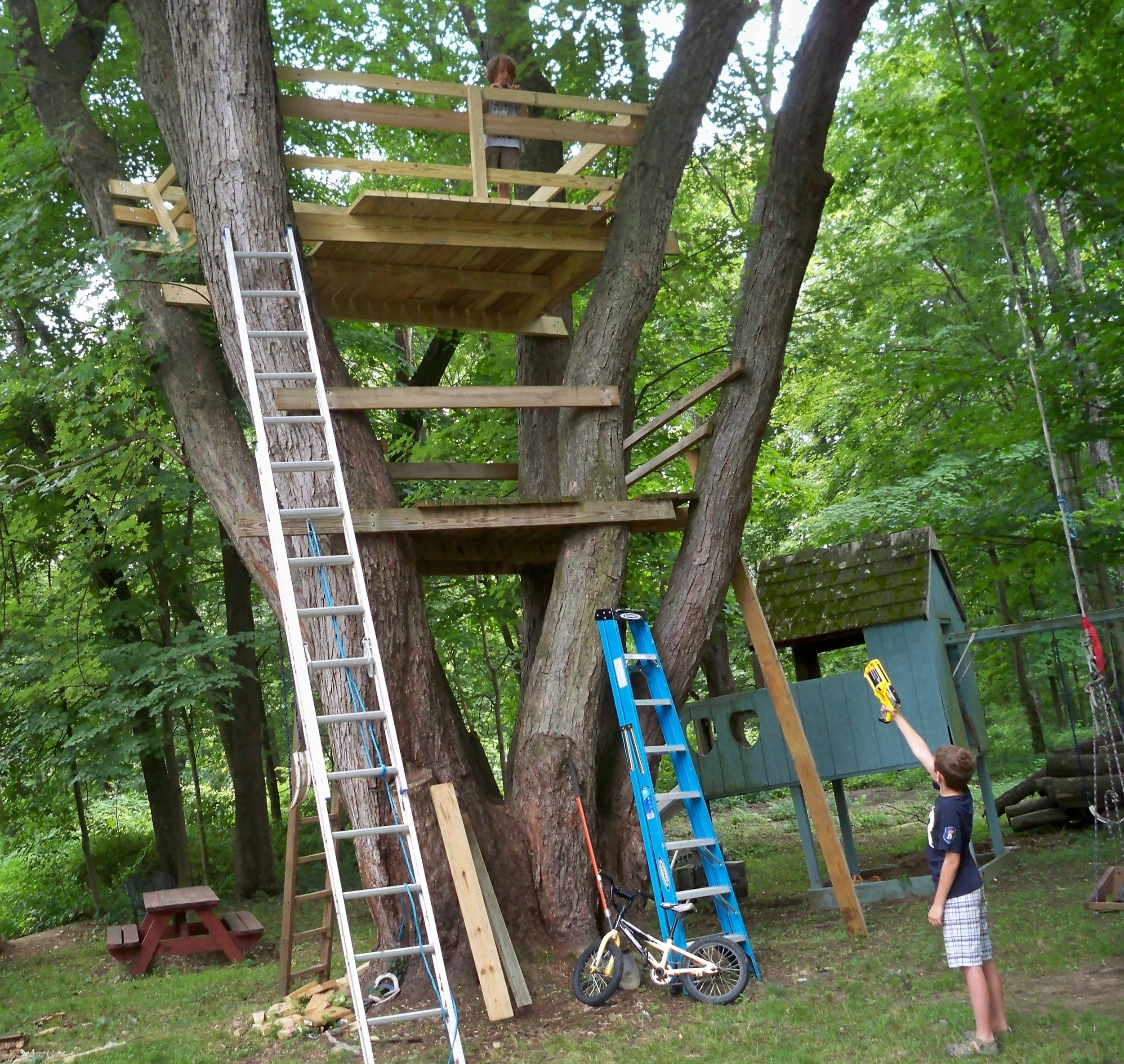 The Famous Treehouse — Glenn's Sheds