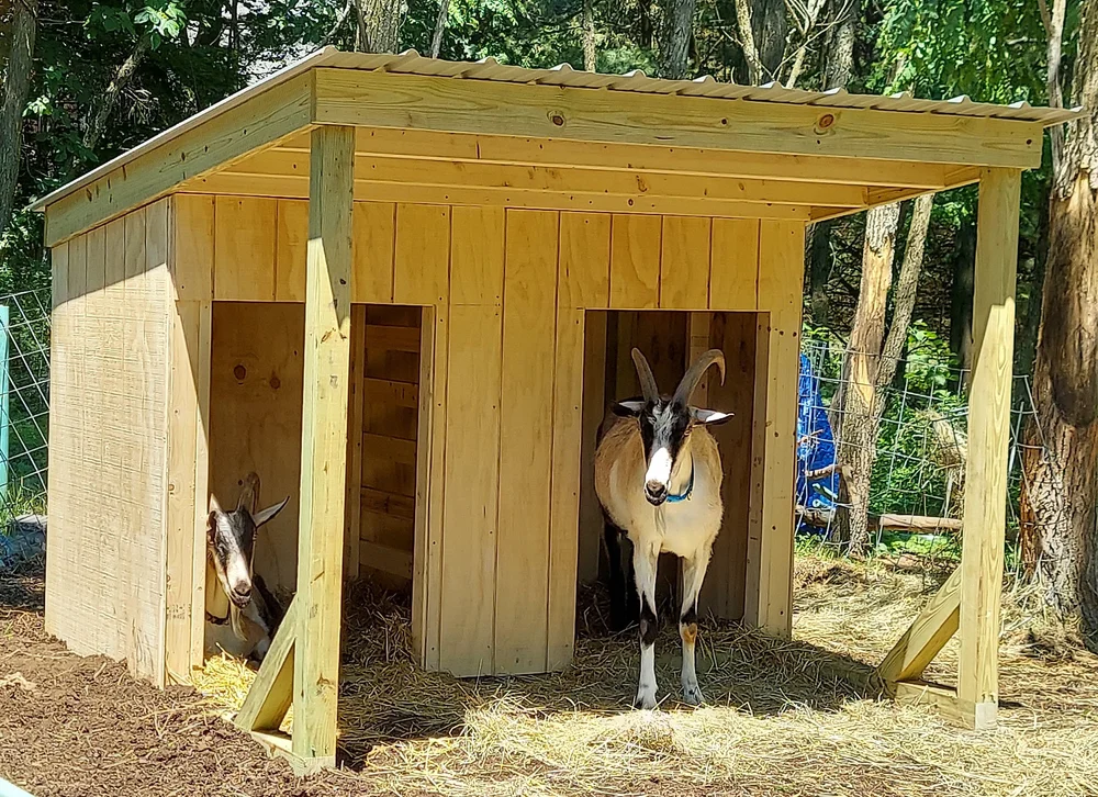 CUSTOM | Craft Your Unique Space — Glenn's Sheds