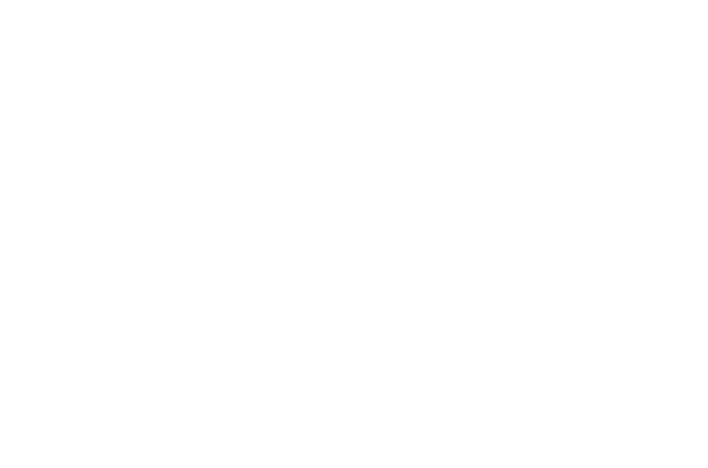 Sensor Fusion System Edge Auto