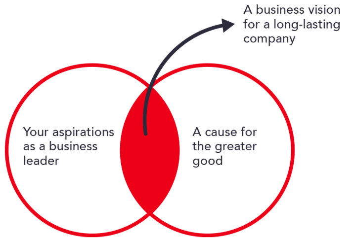 CEOs, do you have a vision? — Stim