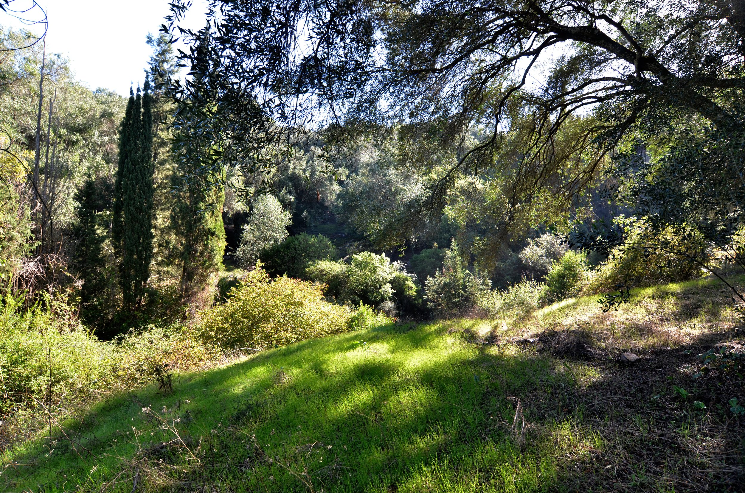 Join Kashmiri Tantra Holiday Retreat in Corfu, Greece | Swami Anahata