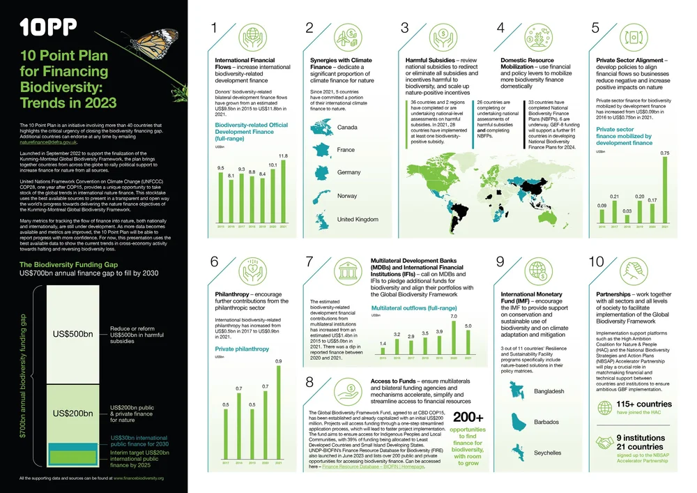 Political Vision: The 10 Point Plan for Financing Biodiversity