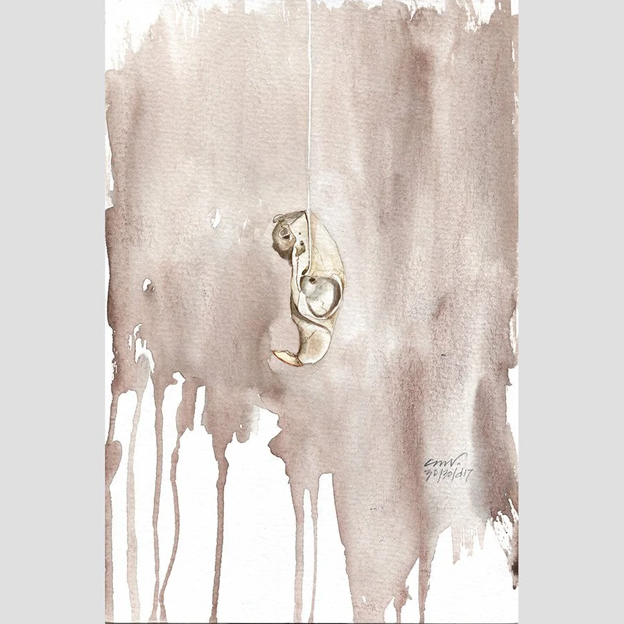 Skulls & Bones — Christine Mercer-Vernon | Artist