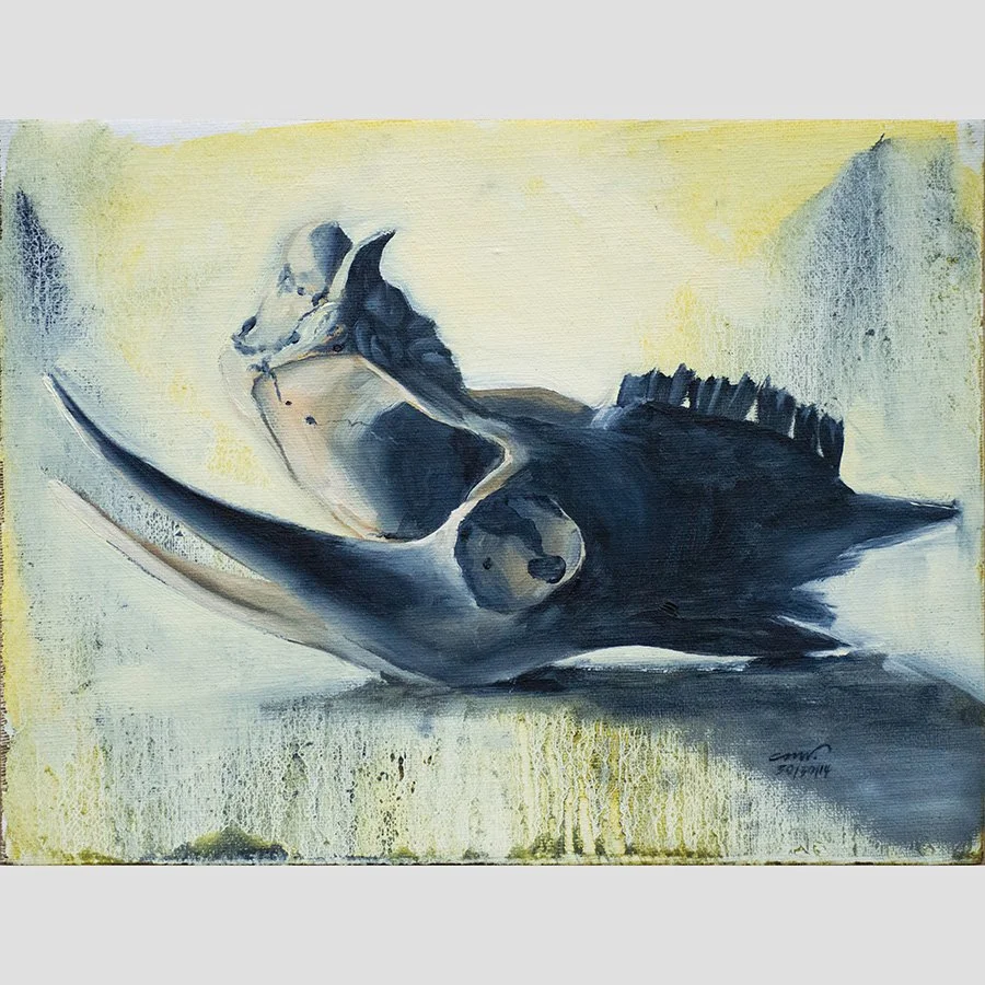 Skulls & Bones — Christine Mercer-Vernon | Artist