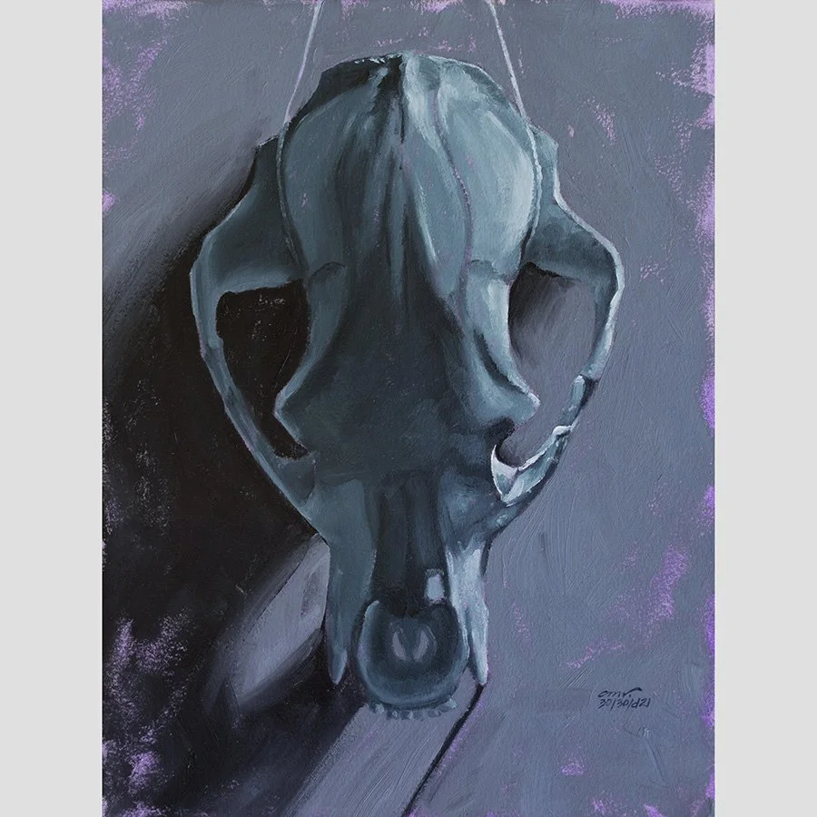 Skulls & Bones — Christine Mercer-Vernon | Artist