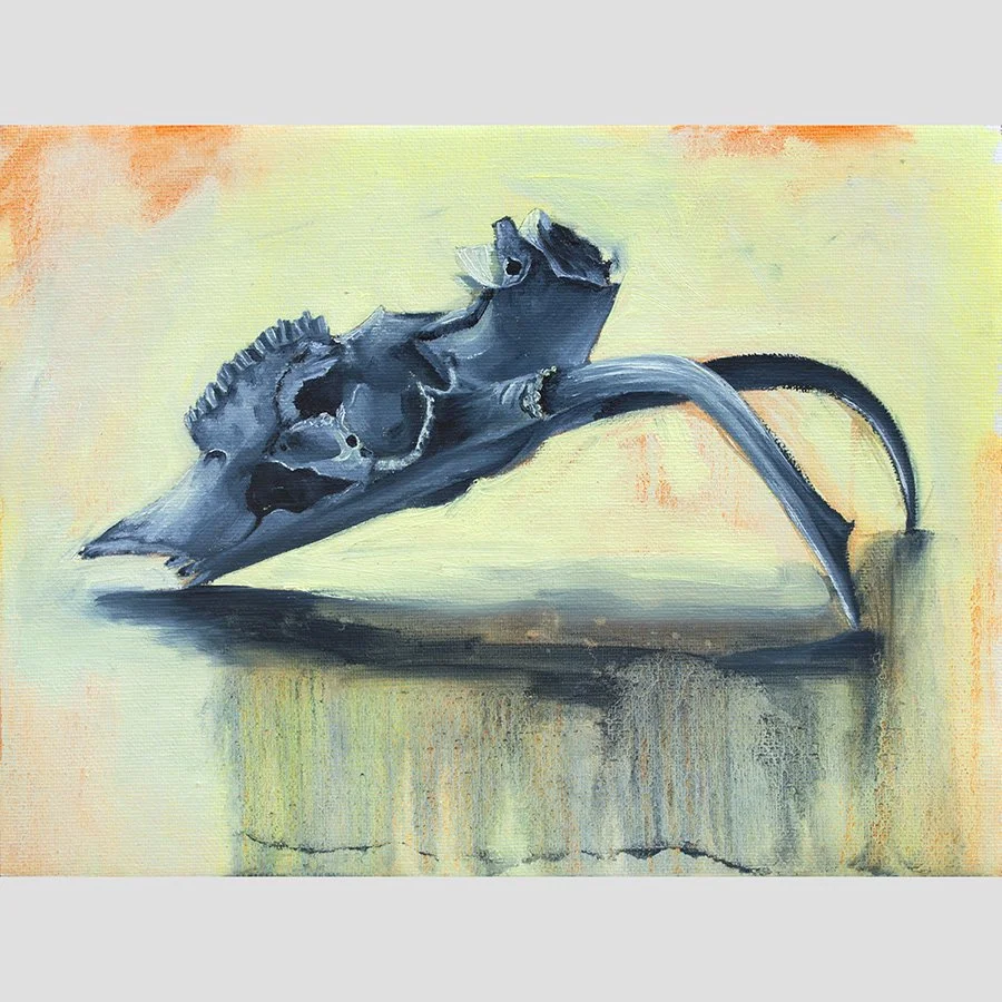 Skulls & Bones — Christine Mercer-Vernon | Artist