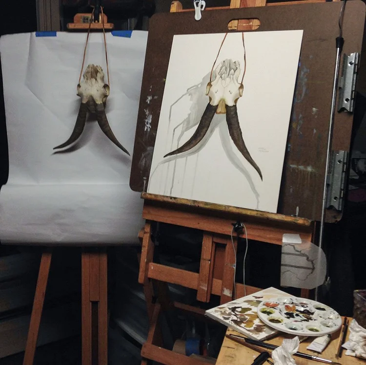 Skulls & Bones — Artist Christine Mercer-Vernon