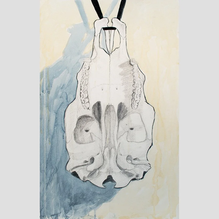 Skulls & Bones — Christine Mercer-Vernon | Artist