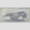 Skulls & Bones — Artist Christine Mercer-Vernon