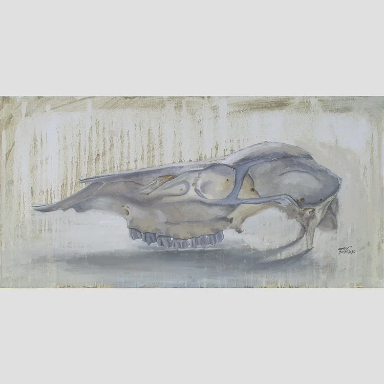 Skulls & Bones — Artist Christine Mercer-Vernon