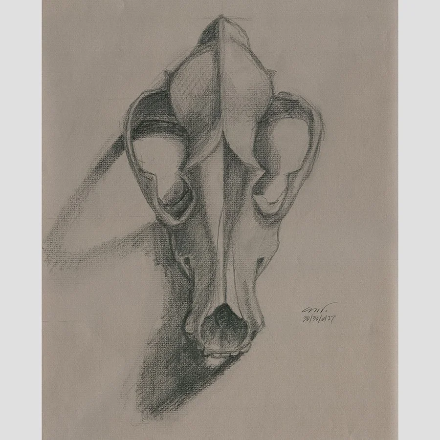 Skulls & Bones — Christine Mercer-Vernon | Artist