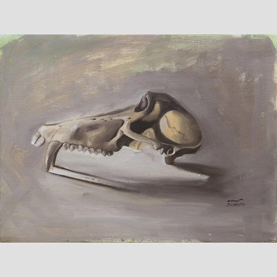 Skulls & Bones — Christine Mercer-Vernon | Artist