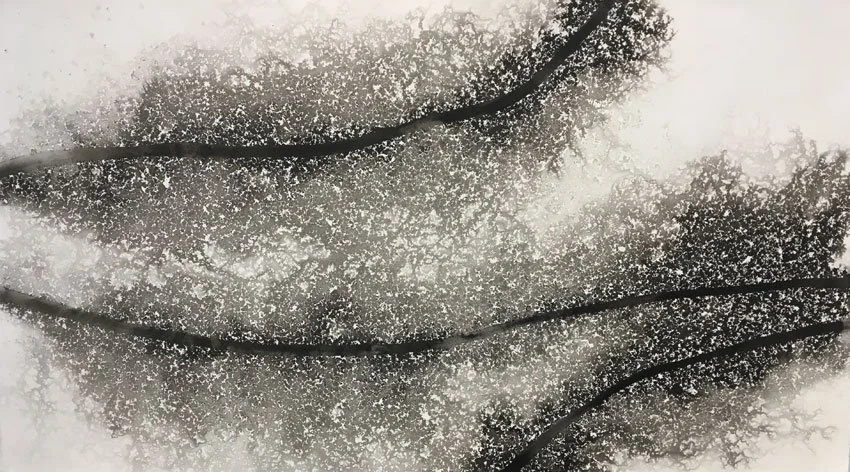 Solo exhibition by Sally Blake — Sally Blake