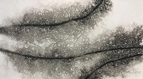 Solo exhibition by Sally Blake — Sally Blake