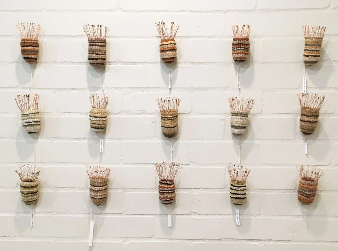 Sally Blake’s solo exhibition at the ANBG Gallery, The Colour of ...