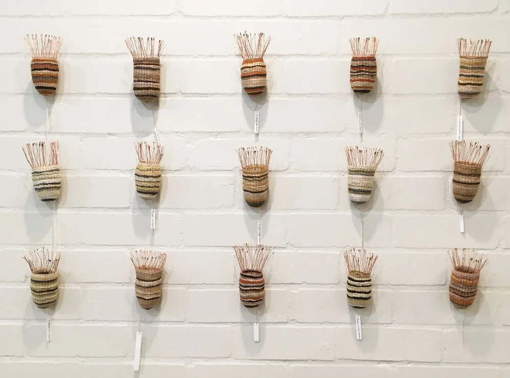 Sally Blake’s solo exhibition at the ANBG Gallery, The Colour of ...