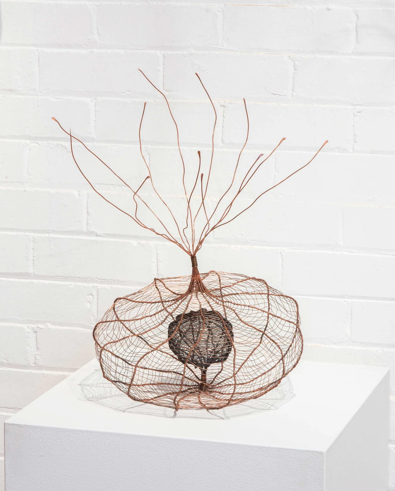 Entangled Mysteries is a new body of three-dimensional textile works ...