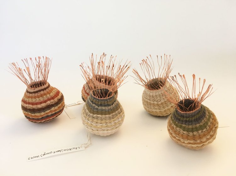 Sally Blake’s solo exhibition at the ANBG Gallery, The Colour of ...