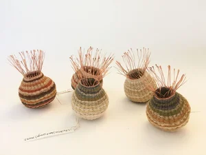 Sally Blake’s solo exhibition at the ANBG Gallery, The Colour of ...