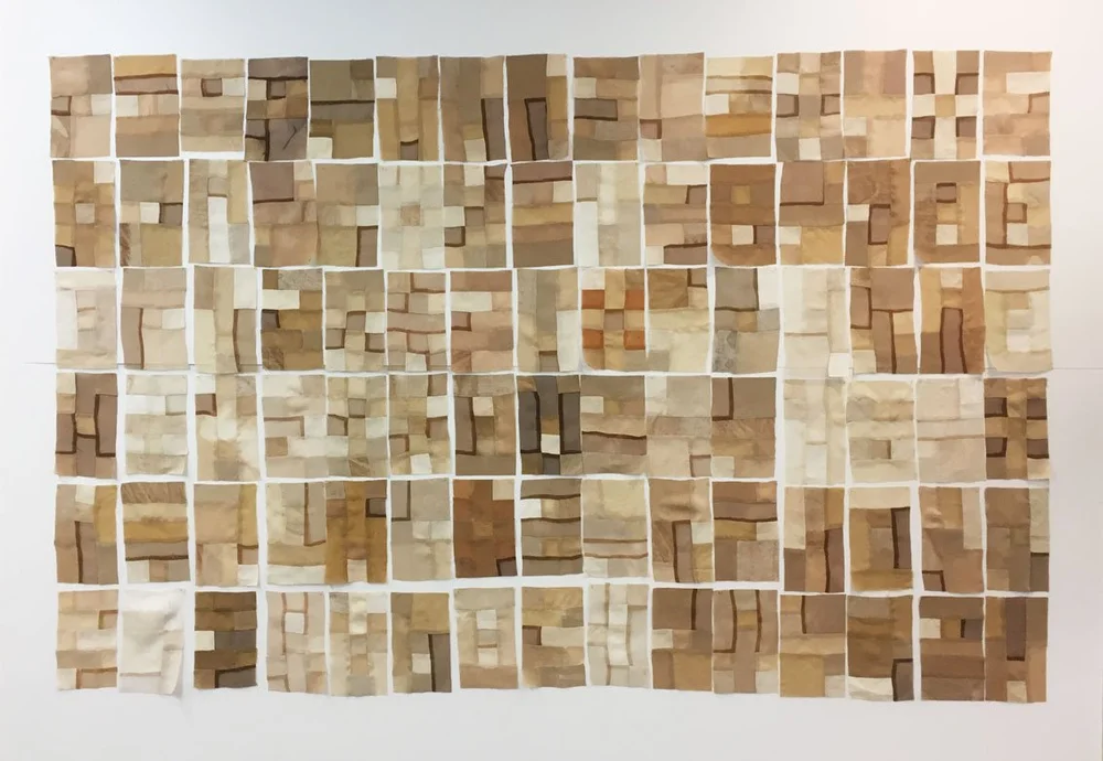 Sally Blake’s solo exhibition at the ANBG Gallery, The Colour of ...