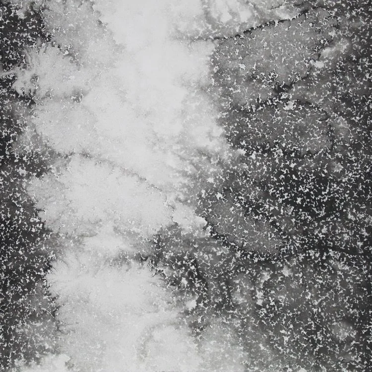 Solo exhibition by Sally Blake — Sally Blake