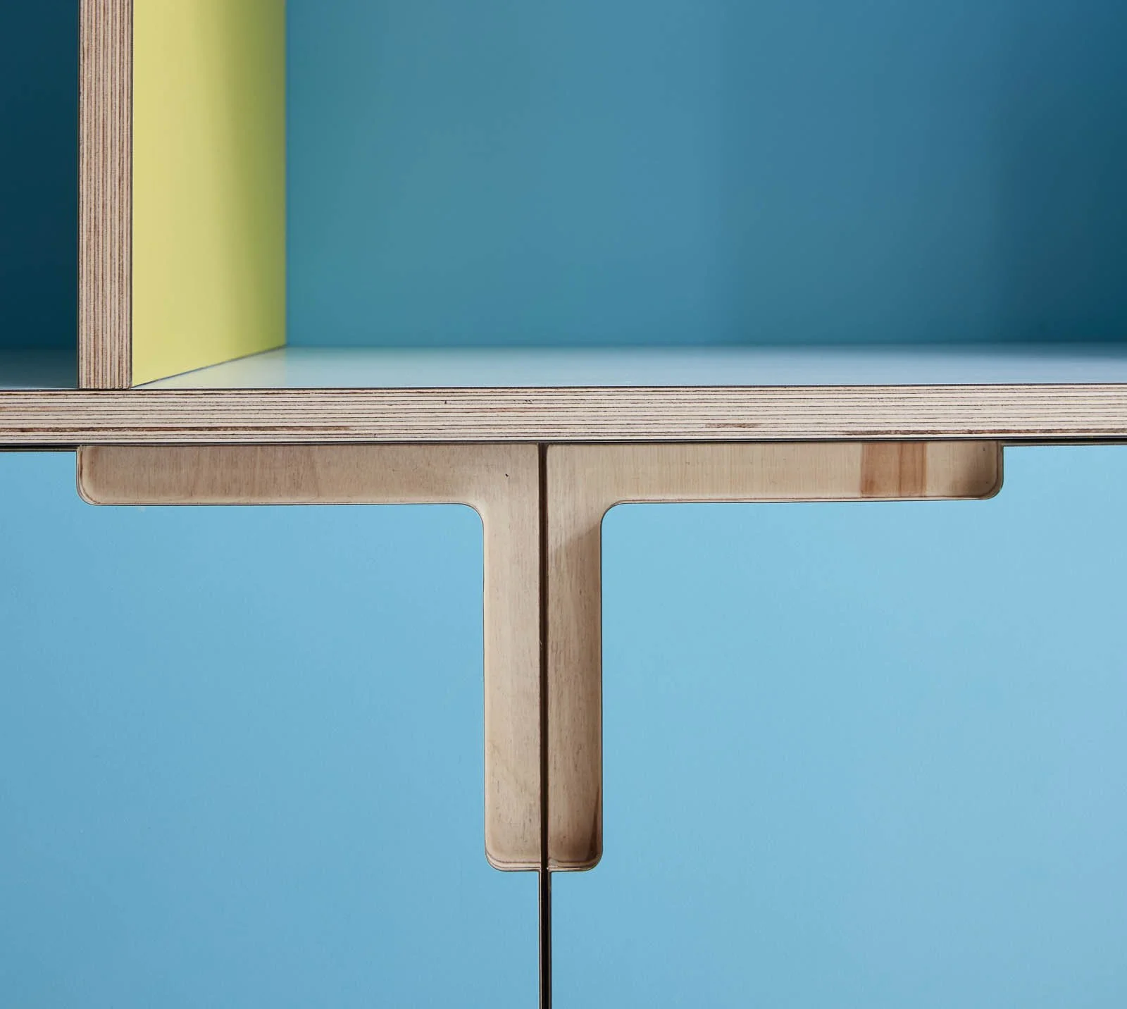 Meet Tom | Founder of Thumb Designs — Thumb Designs