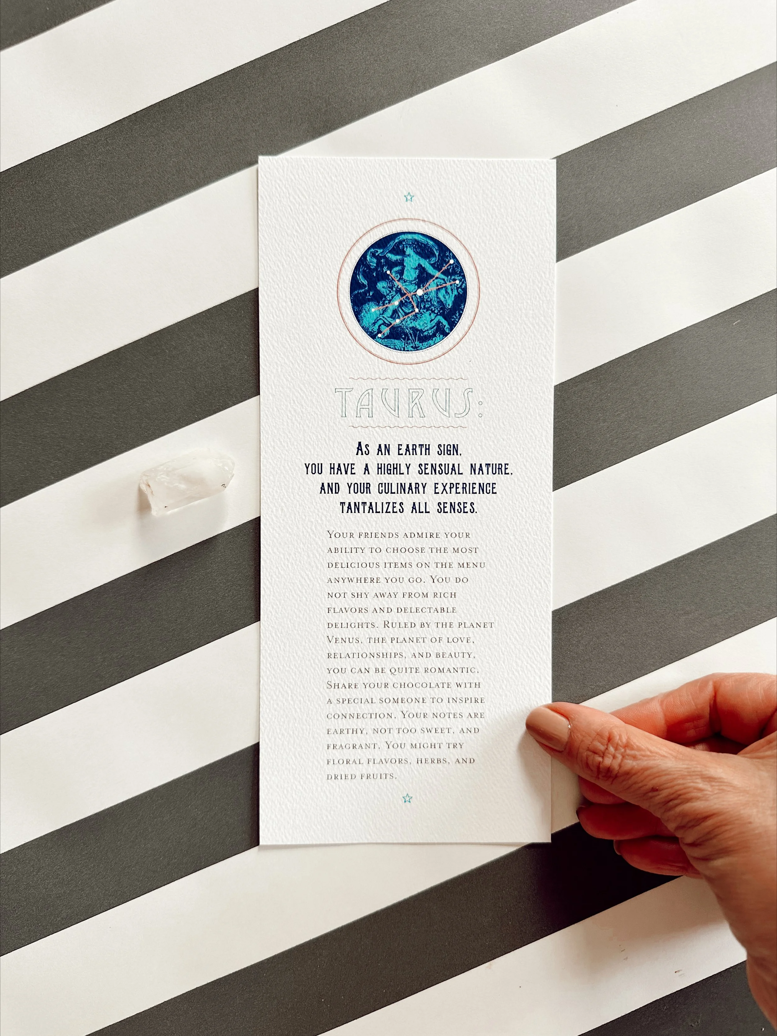 Chocolate Pairing Guide Poster — Projet Chocolat