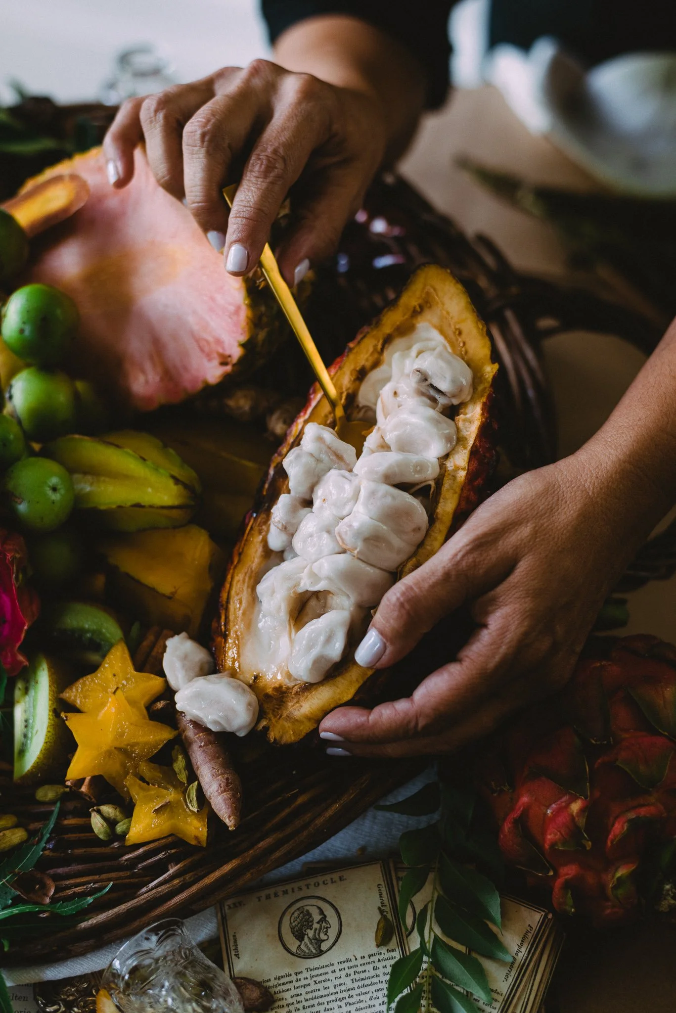 Chocolate Tasting Guide: A Multi-Sensory Experience — Projet Chocolat