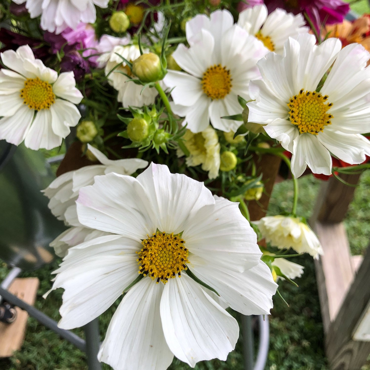 FARM STAND — BLOOM WNC ~ Farmer, Florist