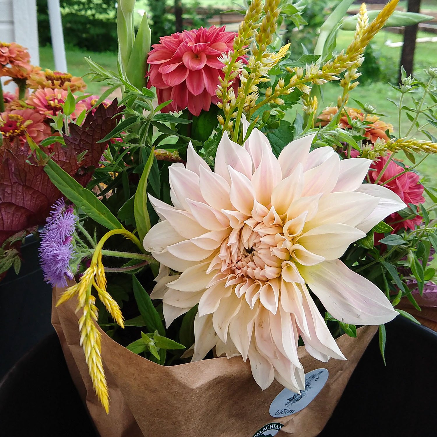 ABOUT OUR FARM — BLOOM WNC ~ Farmer, Florist