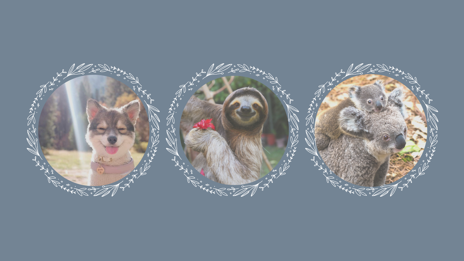 A Baltimore Therapist's Complete Guide to Lovingkindness Meditation ...